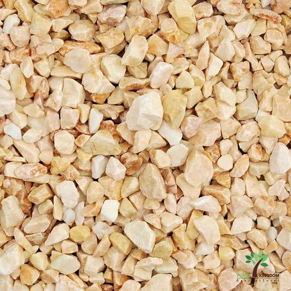 Beige Gravel - Plant Kingdom UAE
