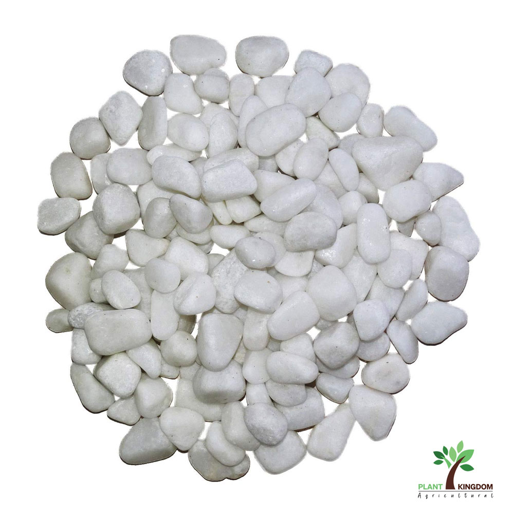 Snow White Pebbles - Plant Kingdom UAE