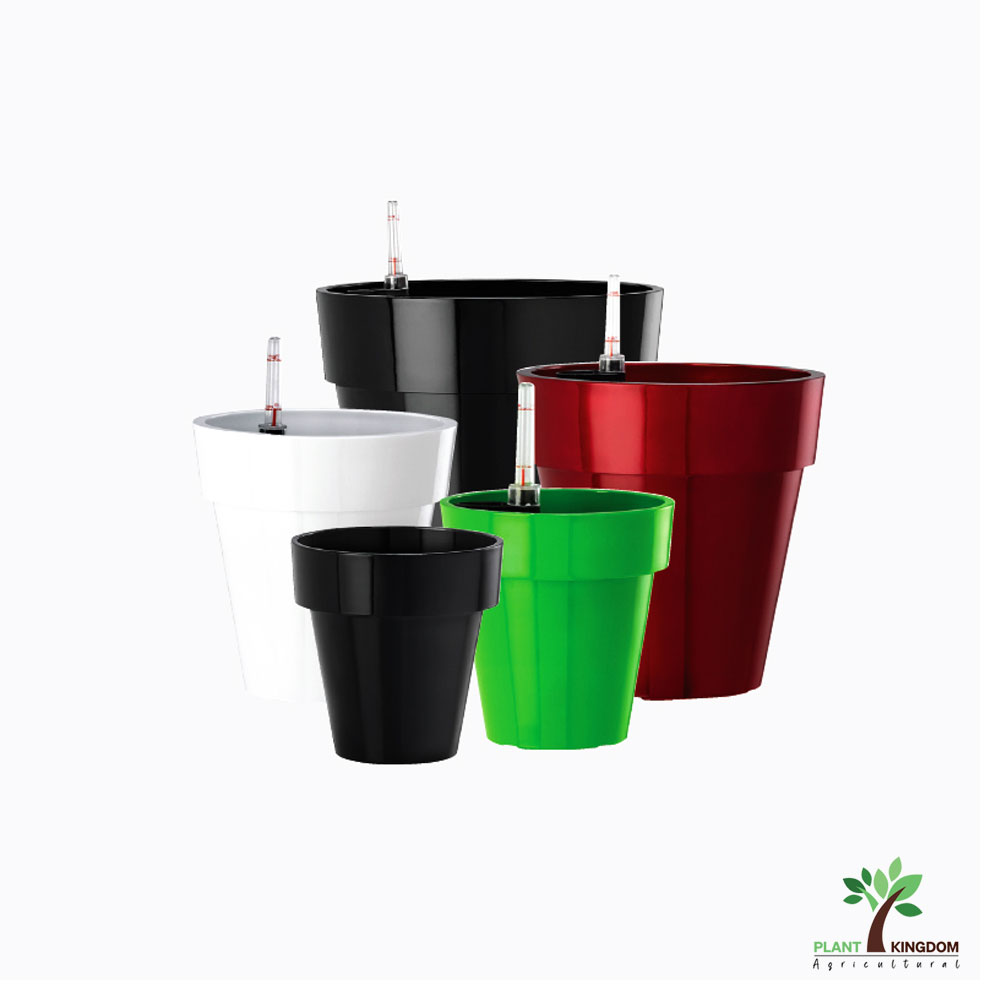 Selfie Round Synthetic Pot - Plant Kingdom UAE