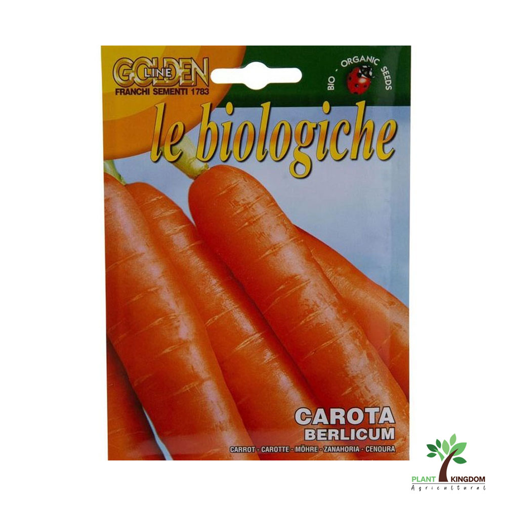 Carrot – Carota Berlicum - Plant Kingdom UAE