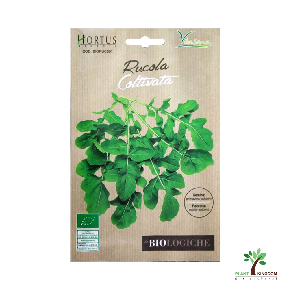 Organic Rucola Coltivata Busta Bio Seeds - Plant Kingdom UAE