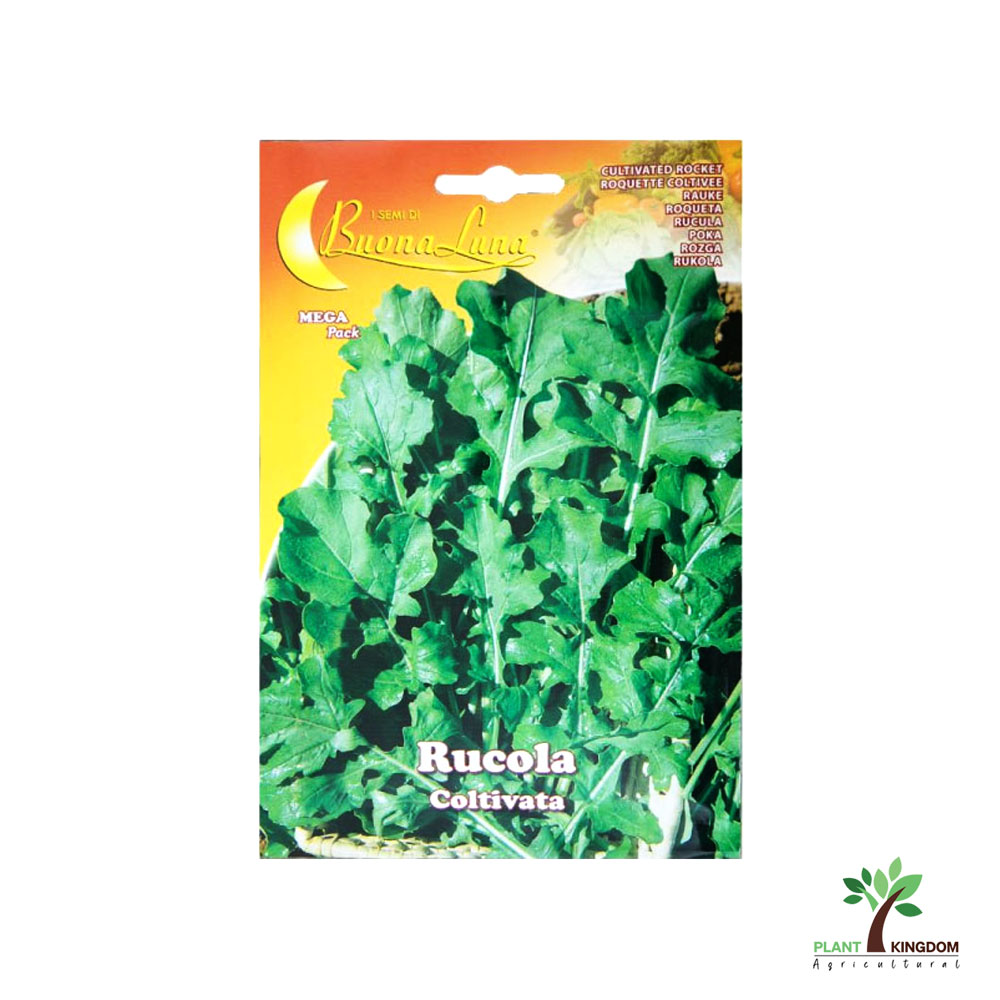 Rucola Coltivate Mega Pack - Plant Kingdom UAE